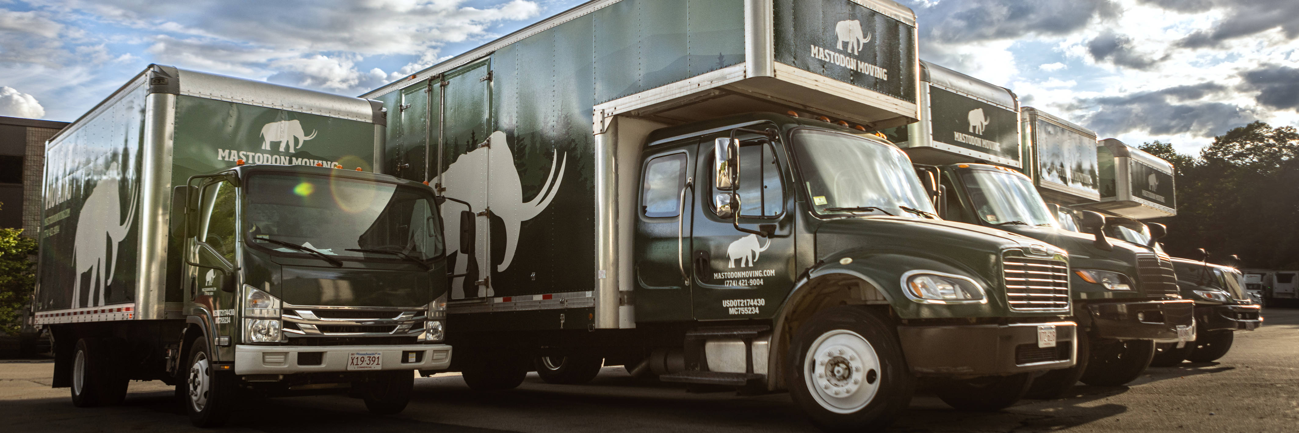 Mastodon Moving | Boston Moving Company